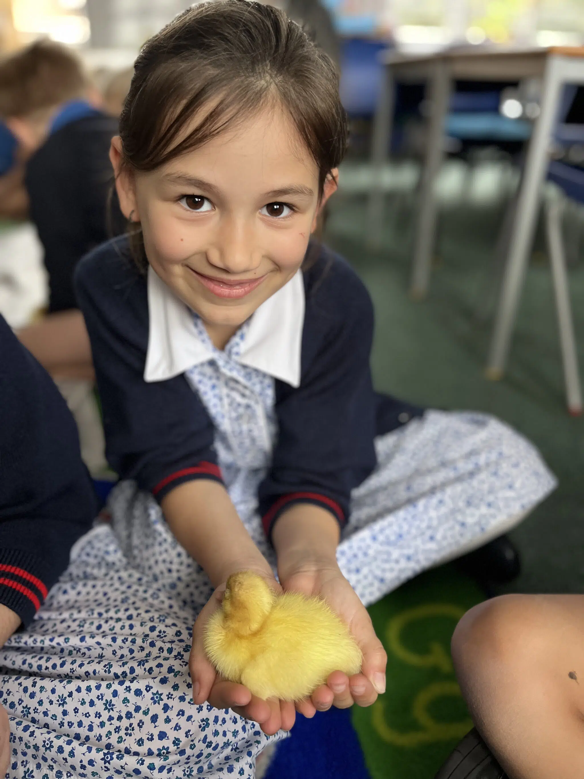 Prospect House | Prep School | Private School in London | Prospect House