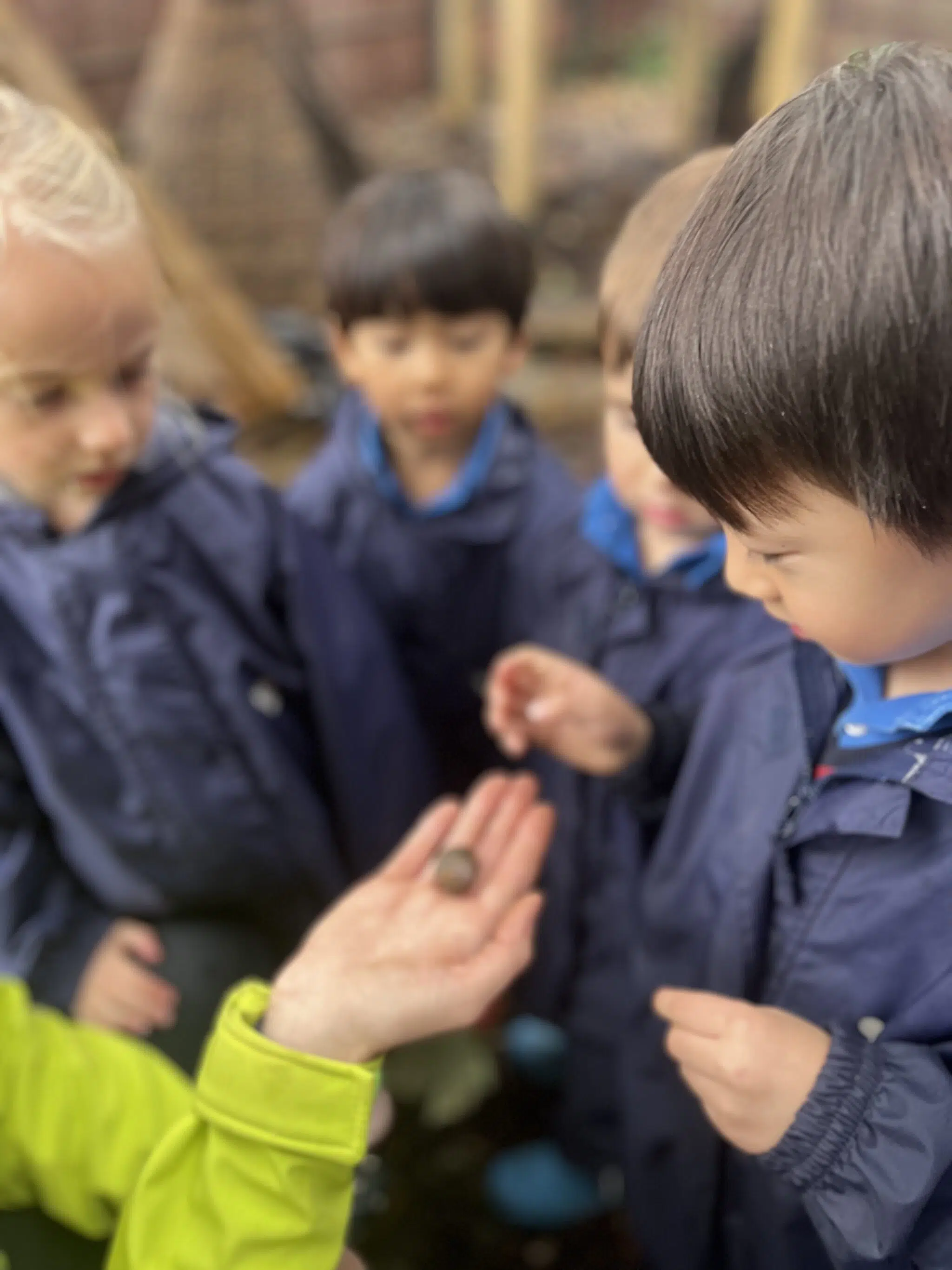 Outdoor learning | Co-Ed School, London | Prospect House